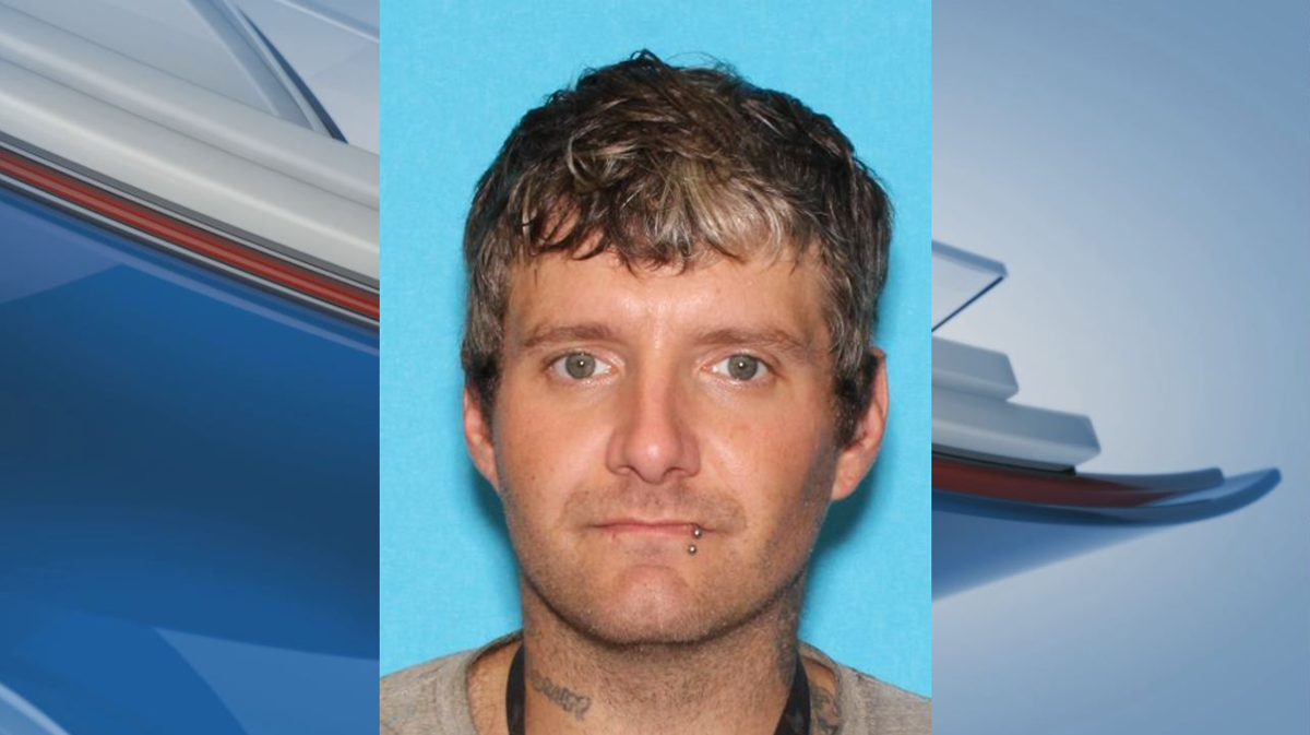 Hillsdale County deputy killed in the line of duty | State | abc12.com