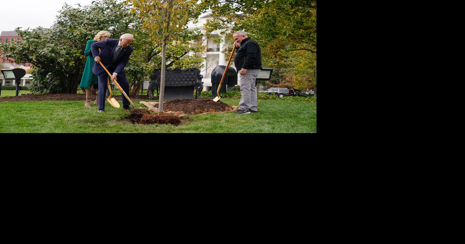 Bidens plant tree honoring 50th anniversary of White House grounds ...