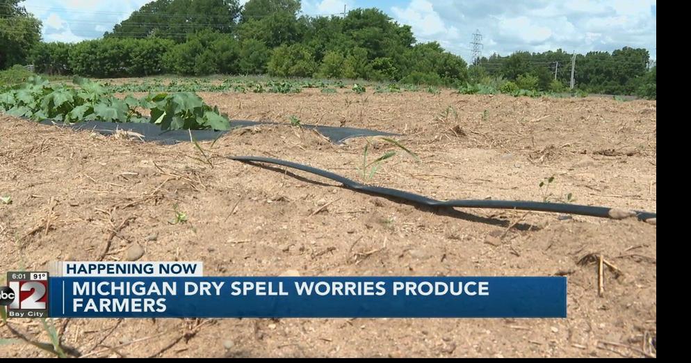 Dry spell puts Michigan farmers in a pinch | News | abc12.com