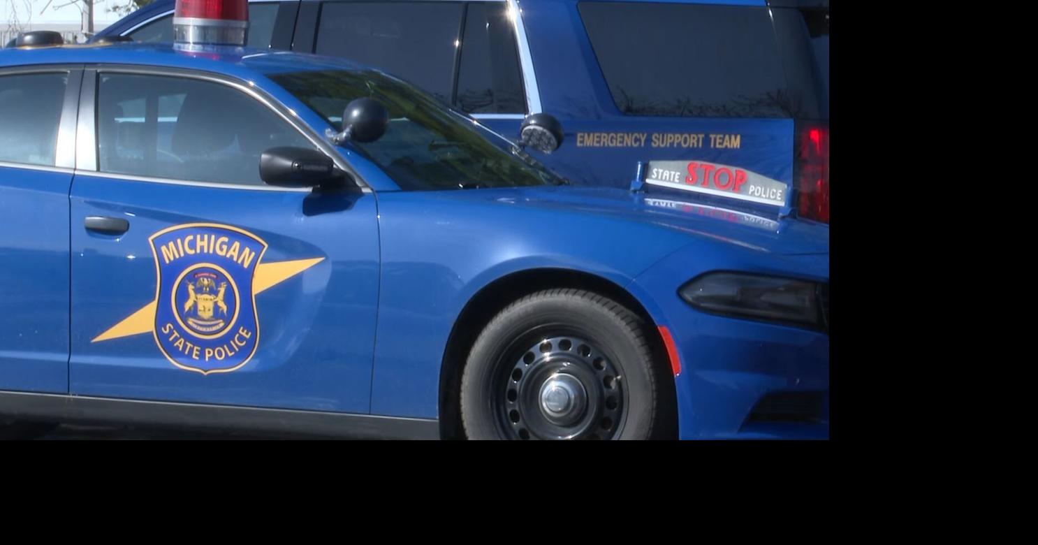 Newborn found dead at Electric Forest festival in West Michigan | State ...