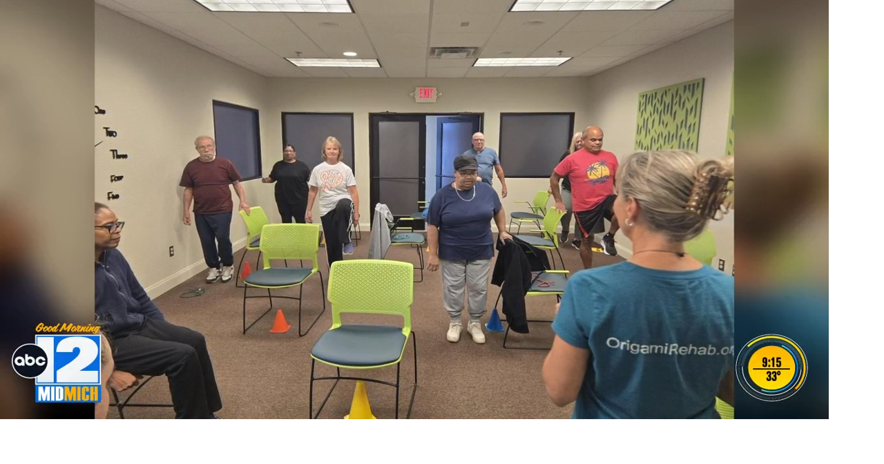 Origami Rehabilitation hosting class with Disability Network | Video ...