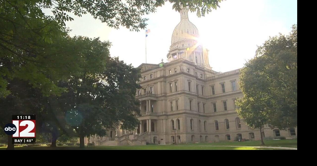 Michigan House passes bills to increase sentence for disarming police ...