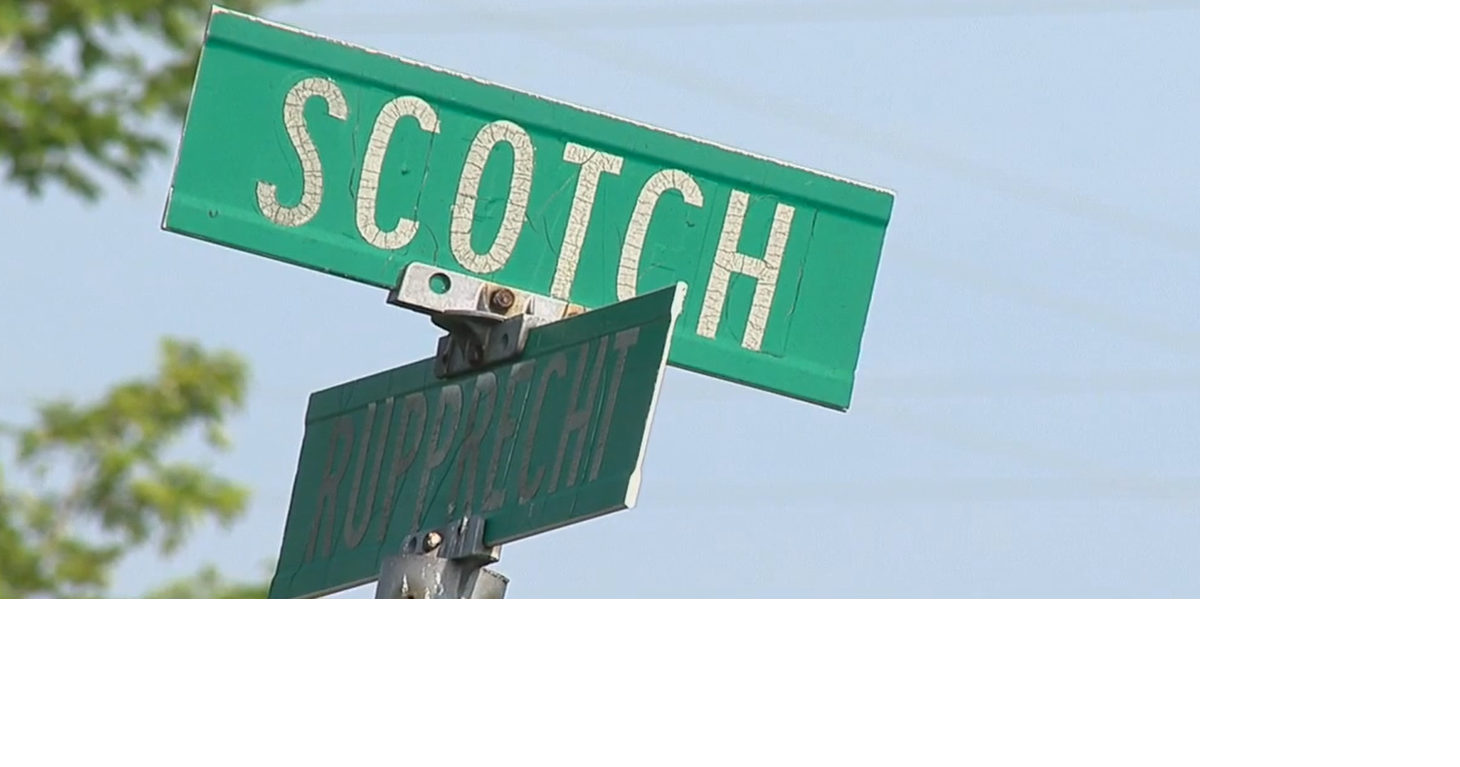 Dash camera video shows Vassar police shooting as investigation ...