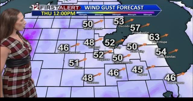 Strong winds from powerful storm system pounding Michigan | Weather ...