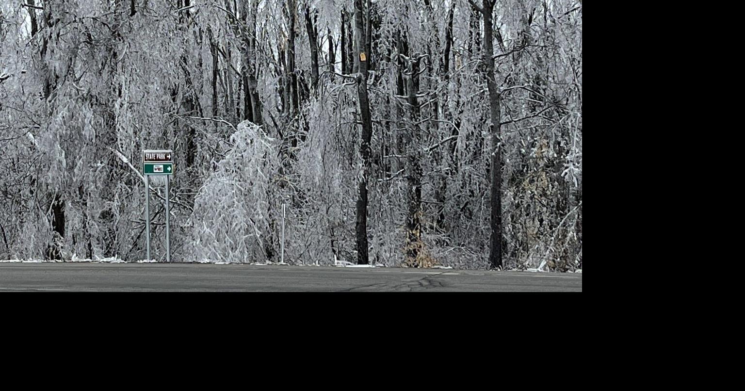 Alpena Power Co. seeks 'ice storm' exemption from bill credits ...