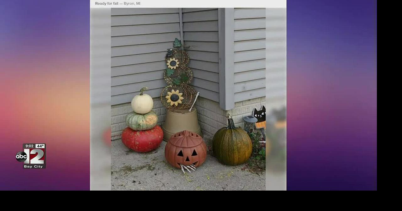 Michigan Moments: See photos that viewers sent on Oct. 18, 2021 | Good ...