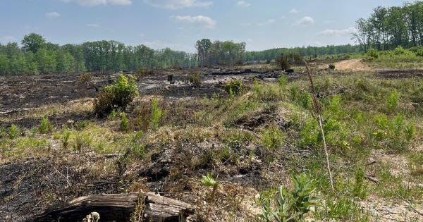 Wildfire near Grayling 100% contained; risk remains extreme | State ...