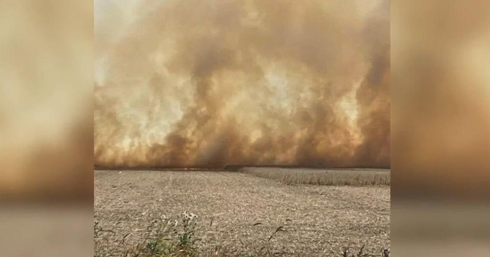 Gratiot County field fire claims roughly 50 acres of crops | News ...