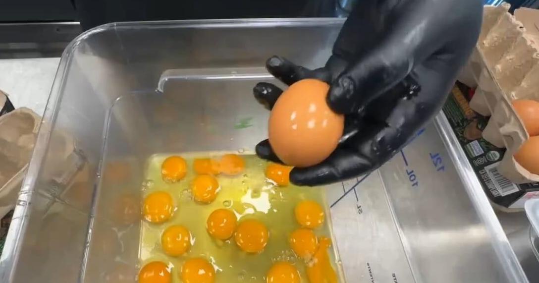 Eggs sold in Michigan must be cage free beginning Wednesday | Business ...