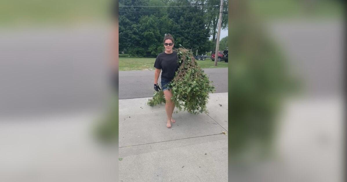 Genesee County 911 Center director facing disorderly conduct charge ...