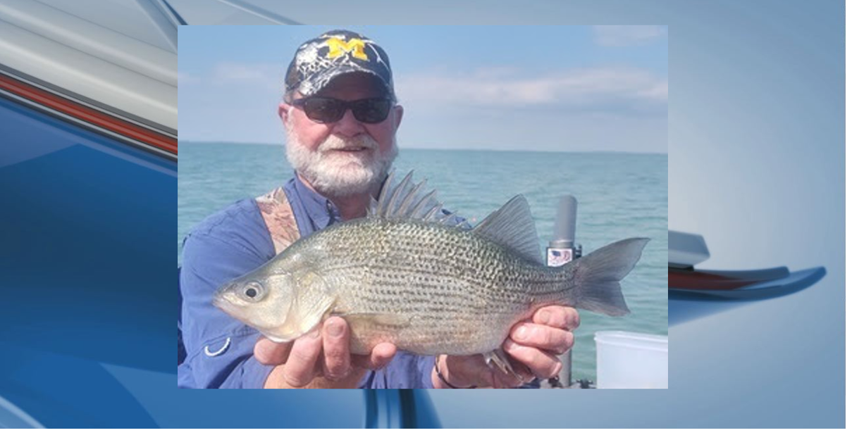 Adrian man catches Michigan’s biggest white perch ever | State | abc12.com