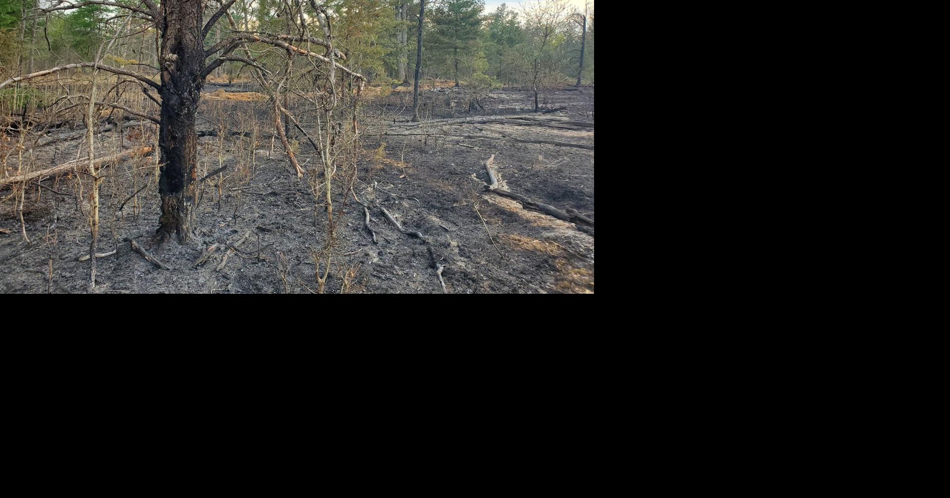 Northern Michigan forest fire nearly contained after burning 2,500 ...