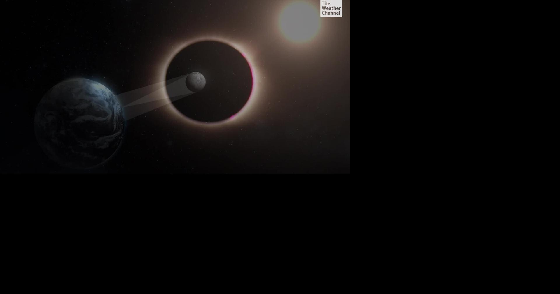 The Weather Channel Meteorologist Mike Bettes Shares Fast Facts About ...