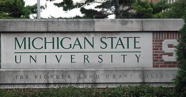 MSU online graduate programs ranked in top 10 | News | abc12.com