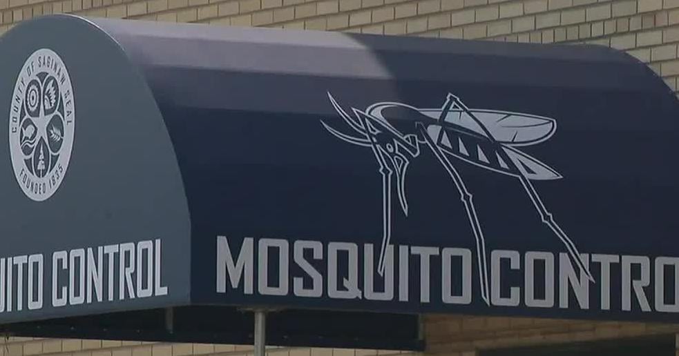 Invasive mosquito species found in Saginaw County for first time ...