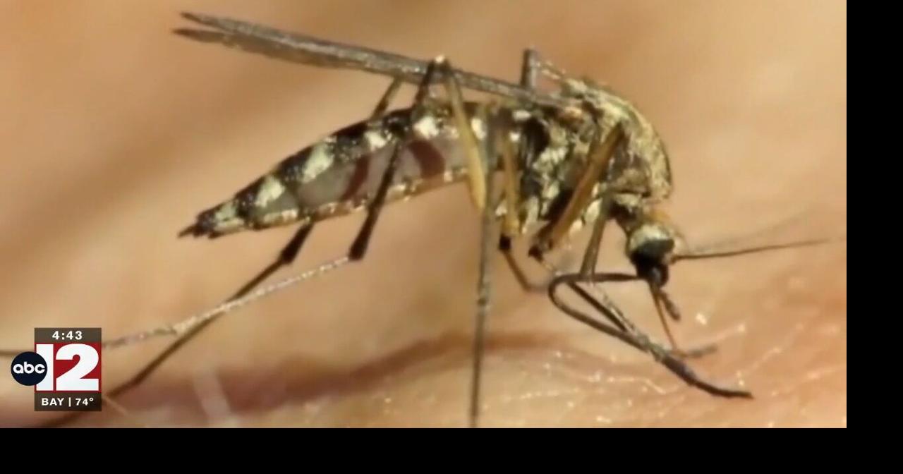 Bird found in Genesee County tests positive for West Nile Virus | Video ...
