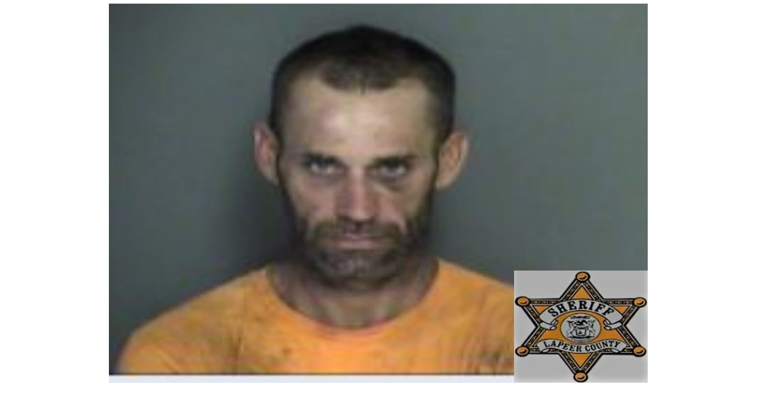 North Branch man in custody for allegedly firing gun in home | Crime ...