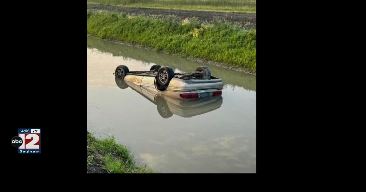 Mt. Morris Township man dies, dog survives crash into watery ditch ...