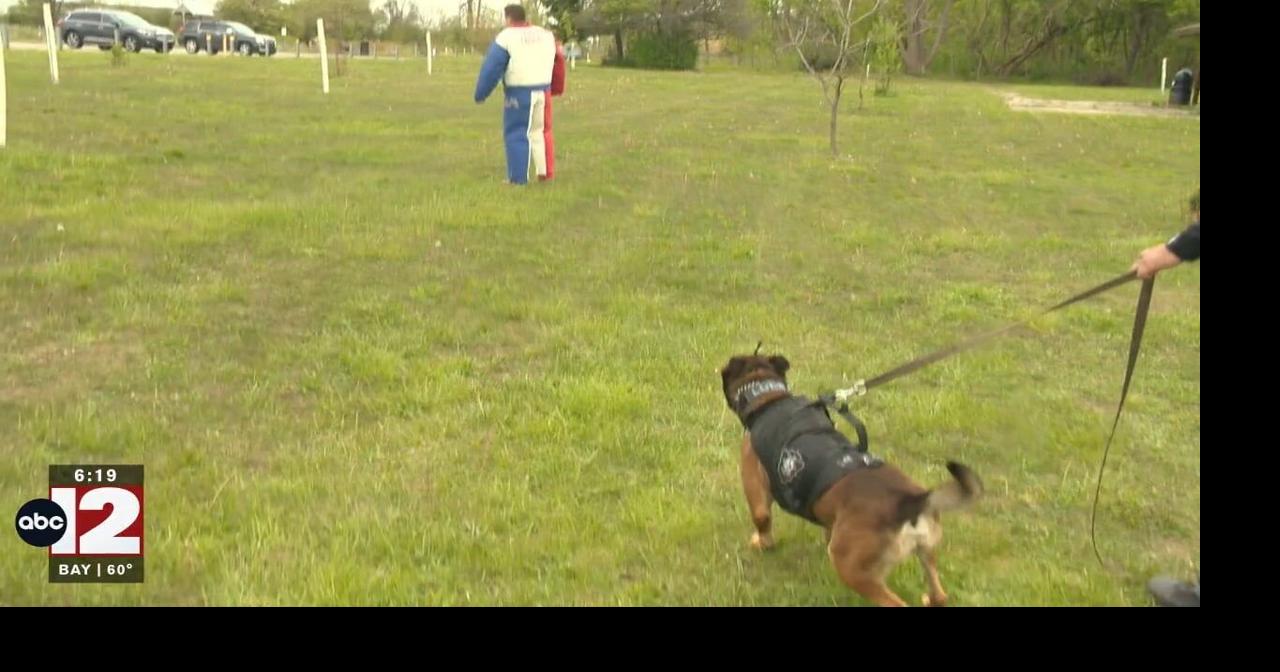NASCAR's Erik Jones donates K-9 medical kits to Flint police ...