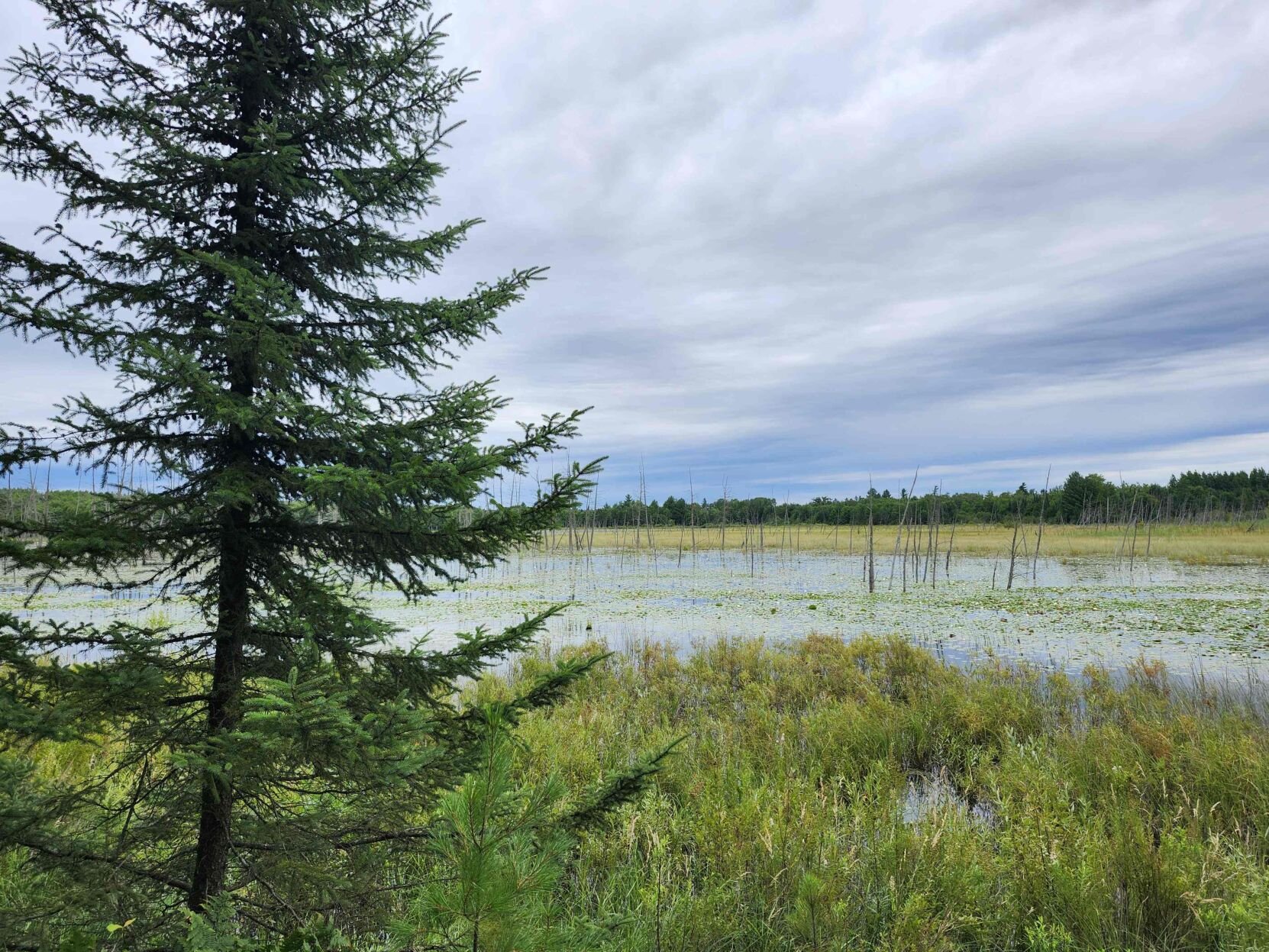 Little Forks Conservancy in Clare County | | abc12.com