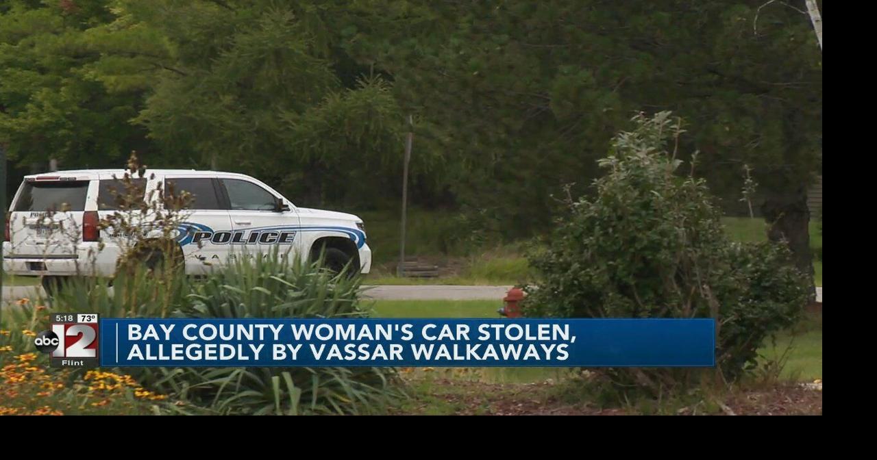 Walkaways from Vassar treatment center allegedly steal car, lead police ...