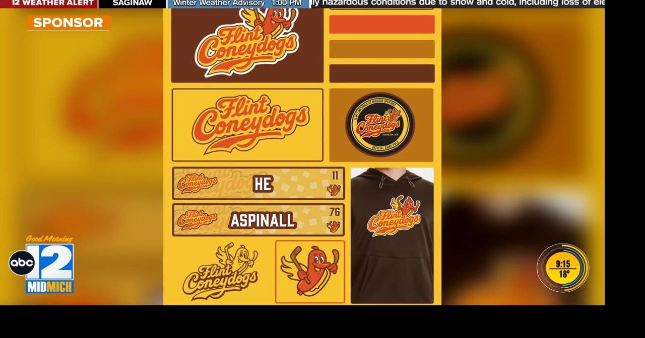 Coney Dog Night with the Flint Firebirds | Video | abc12.com