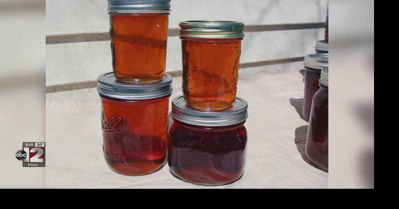 Maple Syrup 101: Learn how to make maple syrup at For-Mar Nature ...