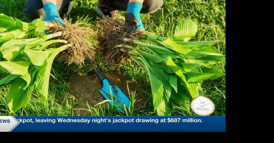 Sheryl Coonan - Journalist Profile - Intelligent Relations