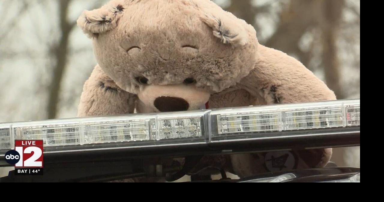Flushing-area police get 600 teddy bears to give children | Local ...
