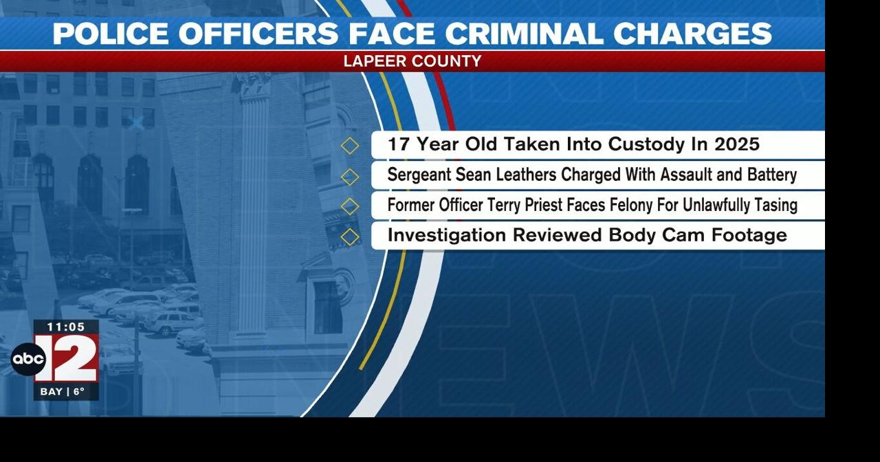 Imlay City police accused of excessive force in teen's arrest | Video ...