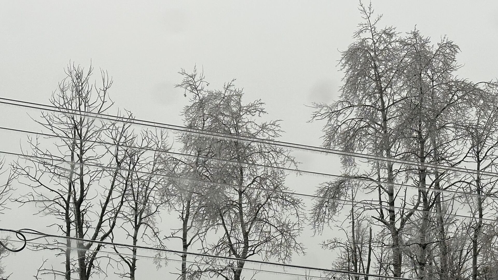 Alert Day: Mid-Michigan under High Wind Warning for most of Monday ...