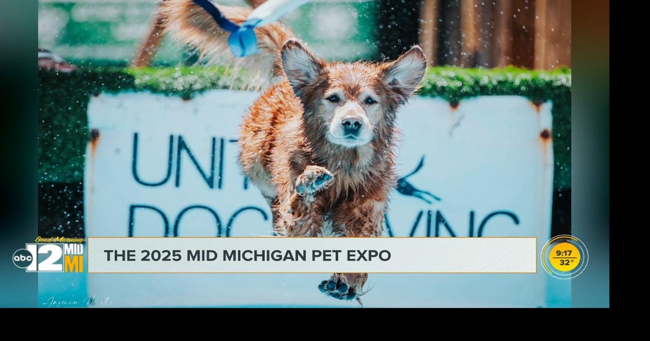 2025 Mid-Michigan Pet Expo in Flint | Video | abc12.com