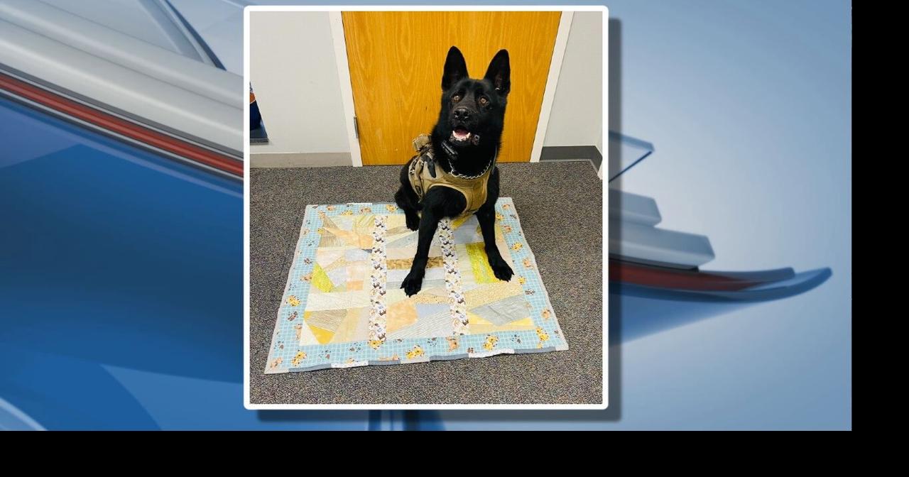 Michigan State Police K-9 Thor returns to duty after drug exposure ...