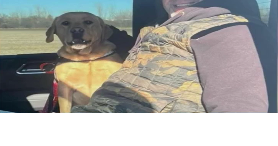 Port Austin family thankful for help of strangers in finding their lost ...