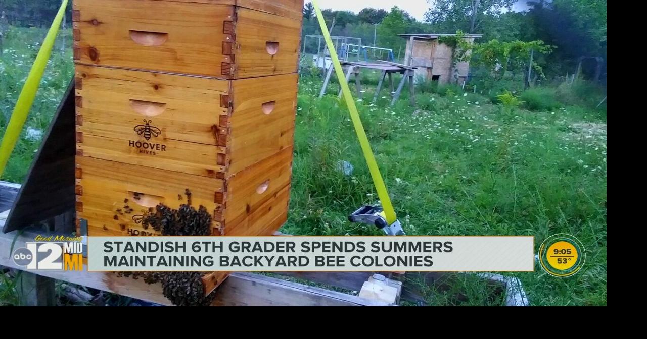 Standish family keeps thousands of bees in their backyard | Community ...