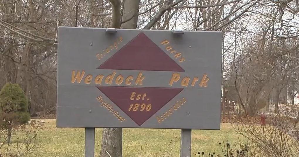 Petition seeks to rename Saginaw's Weadock Park after Kevin Rooker ...