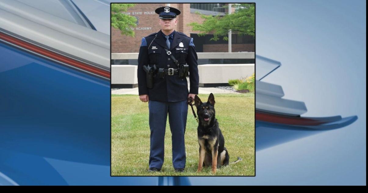 Michigan State Police K-9 locates woman missing deep in woods | State ...
