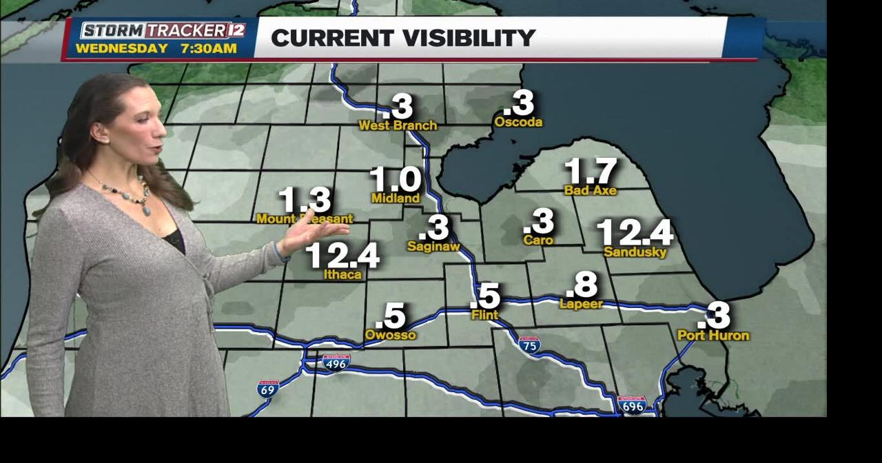 Foggy and rainy today | Forecast | abc12.com