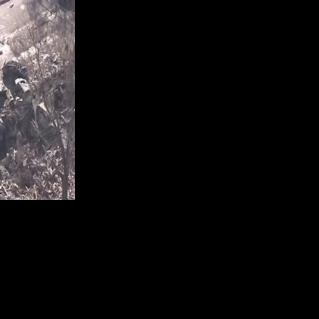 Resources for Flint home explosion victims | News | abc12.com