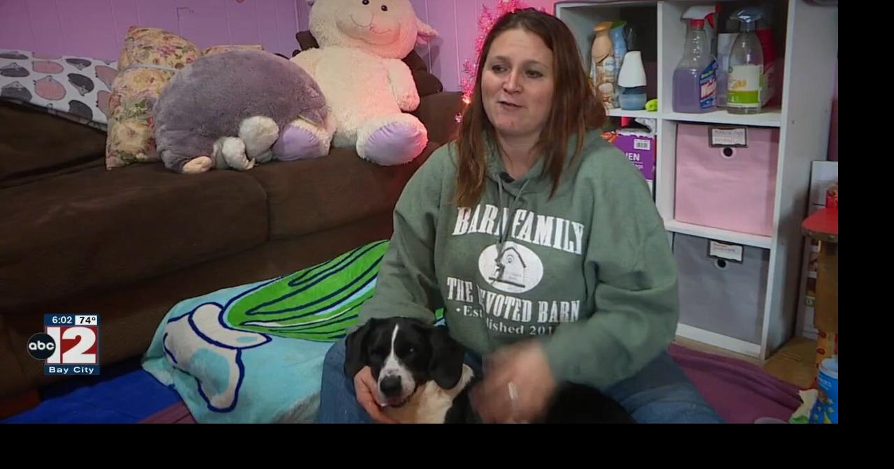 Devoted Barn director defends herself amid animal abuse cases | Crime ...