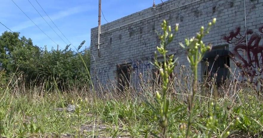 City of Flint launches limited-time blight amnesty program | Local ...