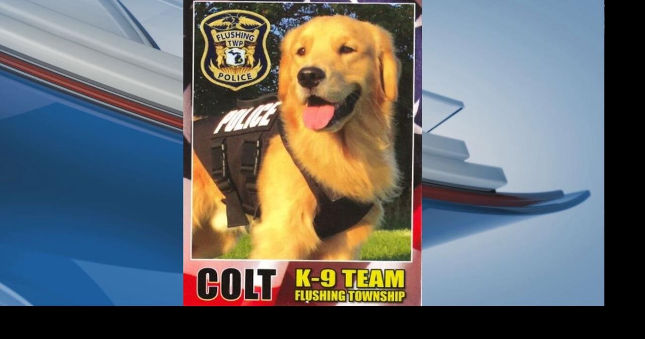 Flushing Township police mourning loss of K-9 Colt | Local | abc12.com
