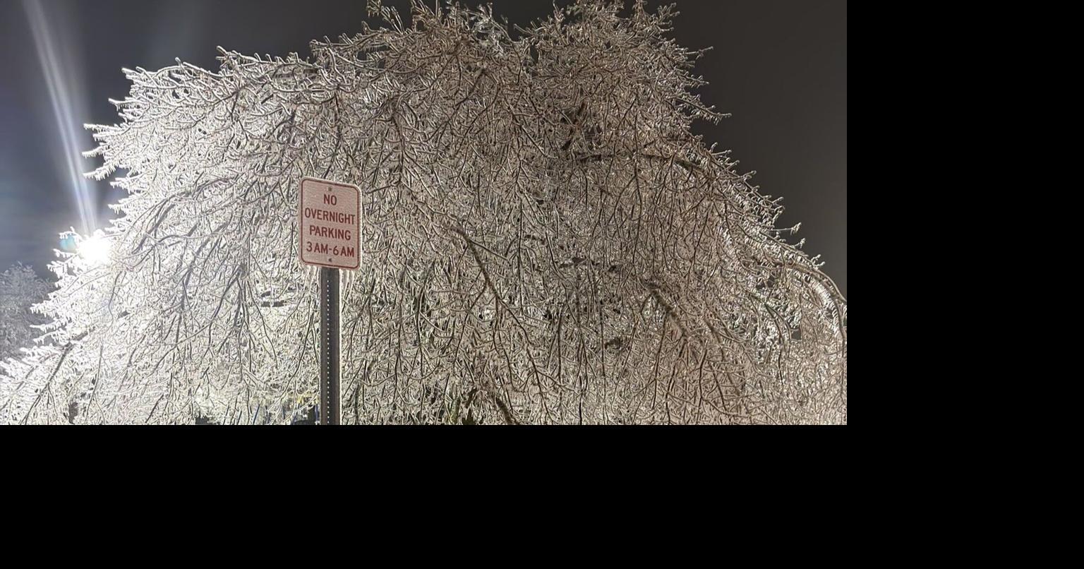 Gov. Whitmer declares emergency for 7 Michigan counties after storm ...
