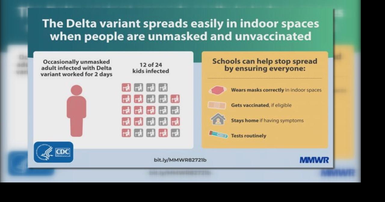 CDC study shows how easily Delta variant can spread in classrooms ...
