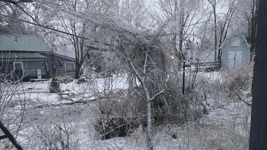 High winds cause power, driving disruptions across Mid-Michigan | News ...
