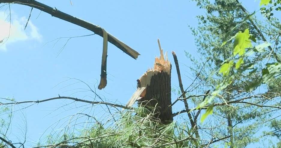 Butman resident surprised to learn Saturday tornado started in his ...
