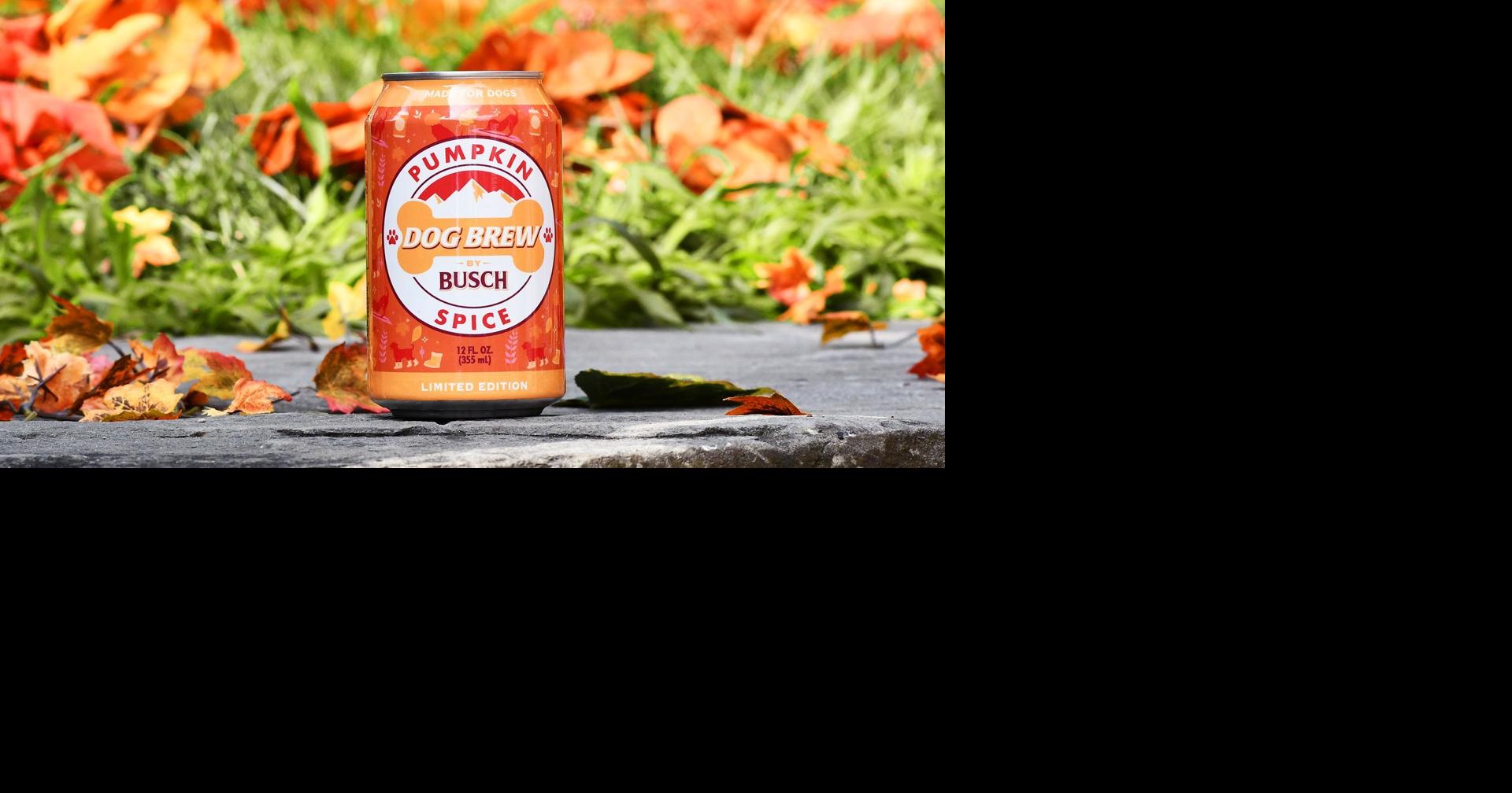 Busch Beer introduces pumpkin-flavored drink for dogs | Business ...