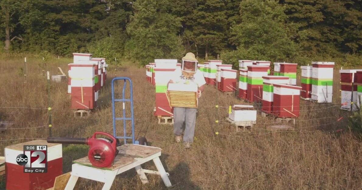 Flint beekeeper describes how people can make their own honey | Good ...