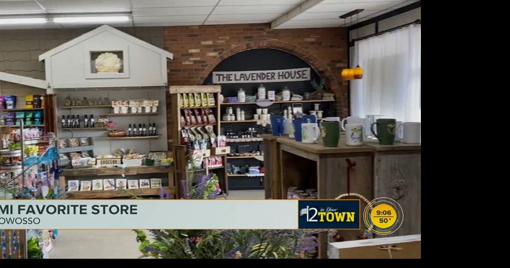 12 In Your Town: Find Michigan-made products at 'MI Favorite Store ...