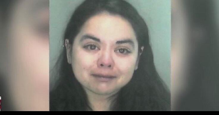 Michigan lawmaker pleads guilty to DWI, aims for sobriety | News ...